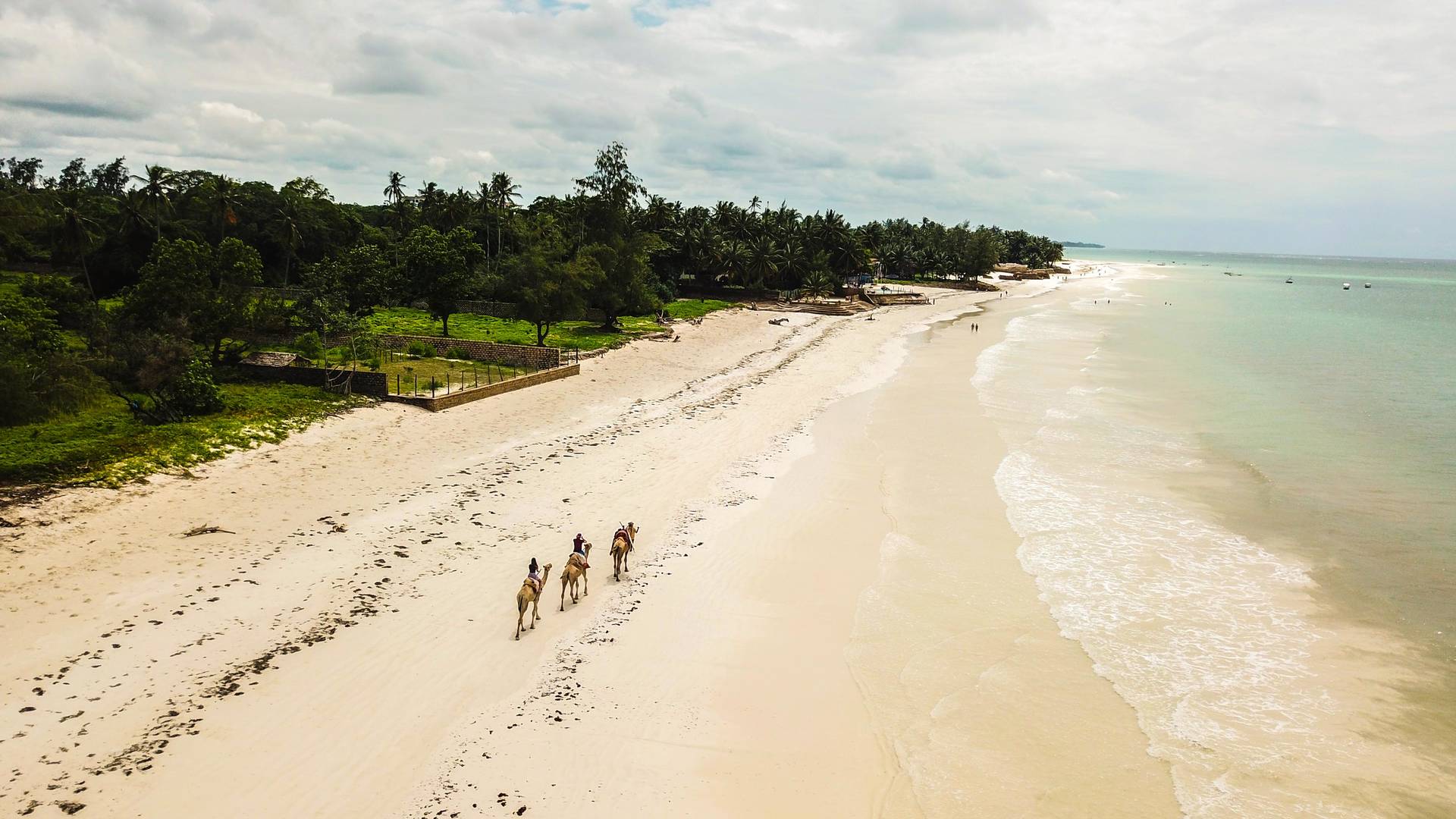 Keniaanse Kust | Charlie's Travels