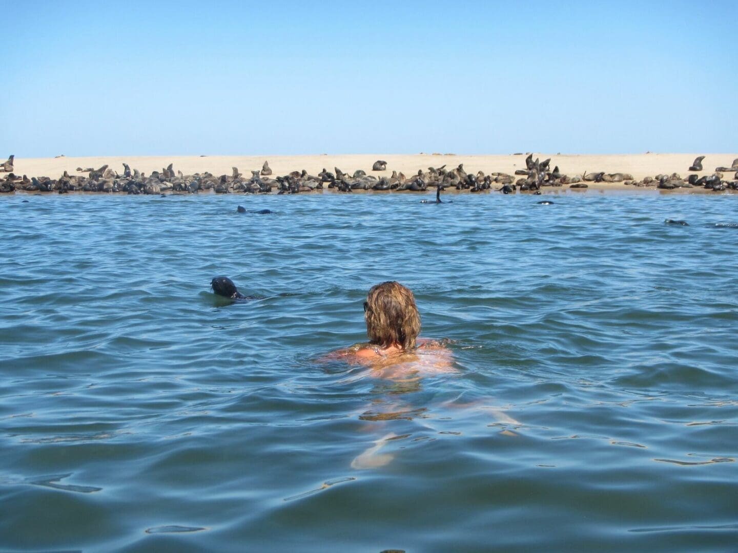 Walvis Bay: Unique Adventure in Namibia | Charlie’s Travels