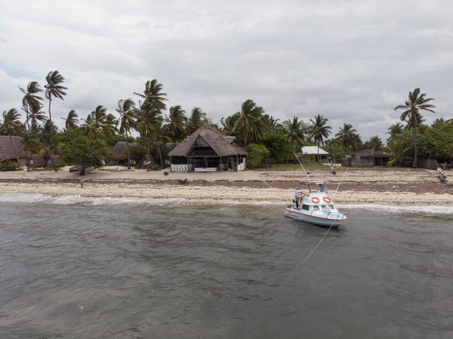Tropical beaches of Pangani: unique adventure | Charlie’s Travels