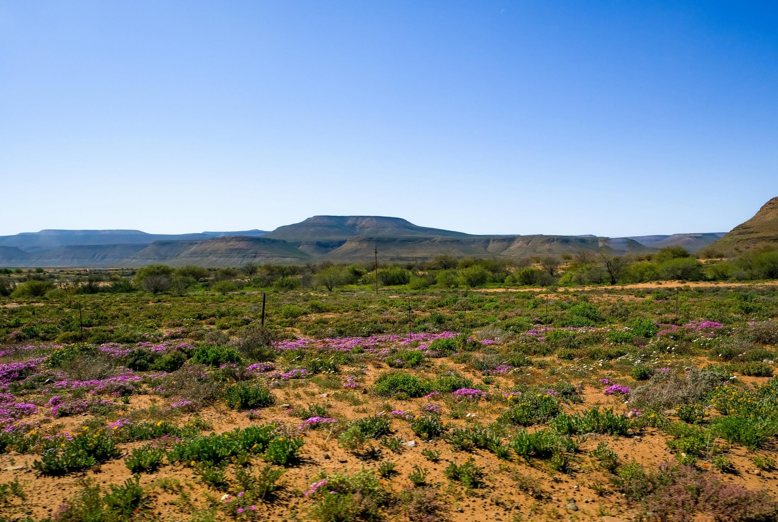 Visit the Karoo region | Charlie’s Travels