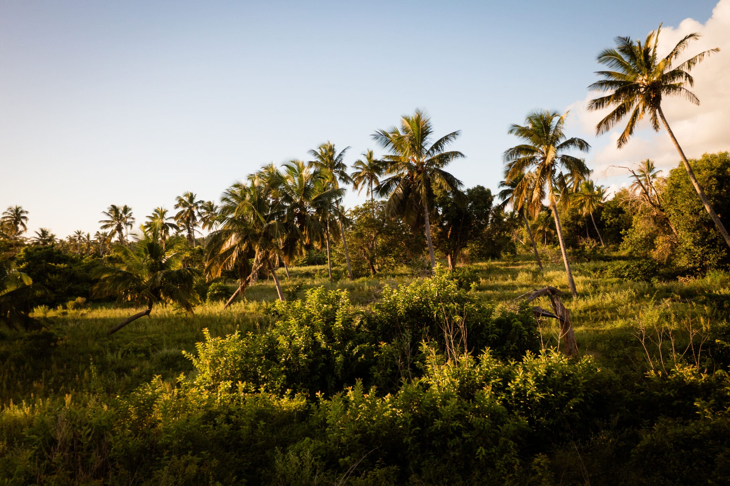 Pomene | Charlie's Travels